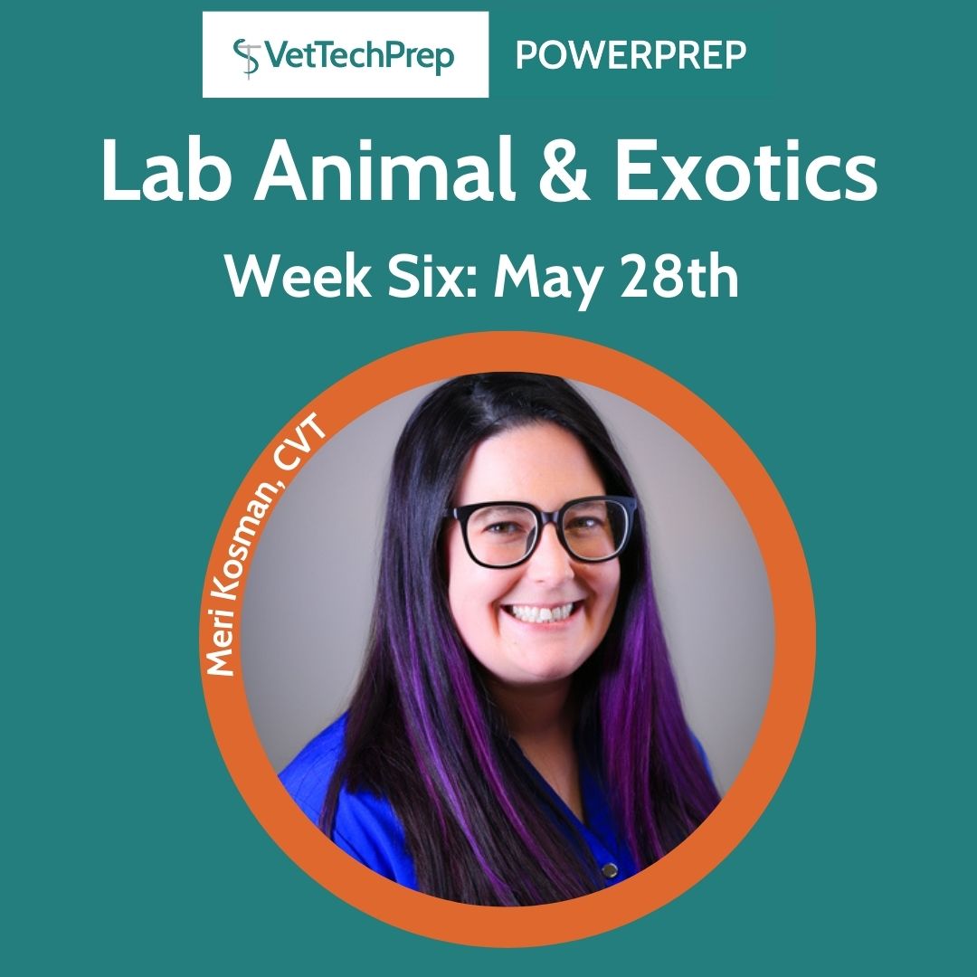 VTP- Lab Animal & Exotics (PowerPrep)
